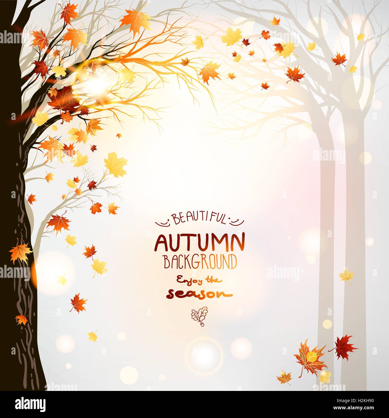 Top down forest Stock Vector Images - Alamy