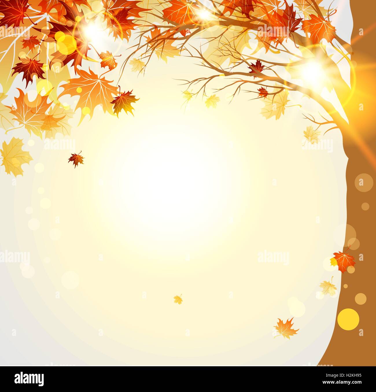 Top down forest Stock Vector Images - Alamy