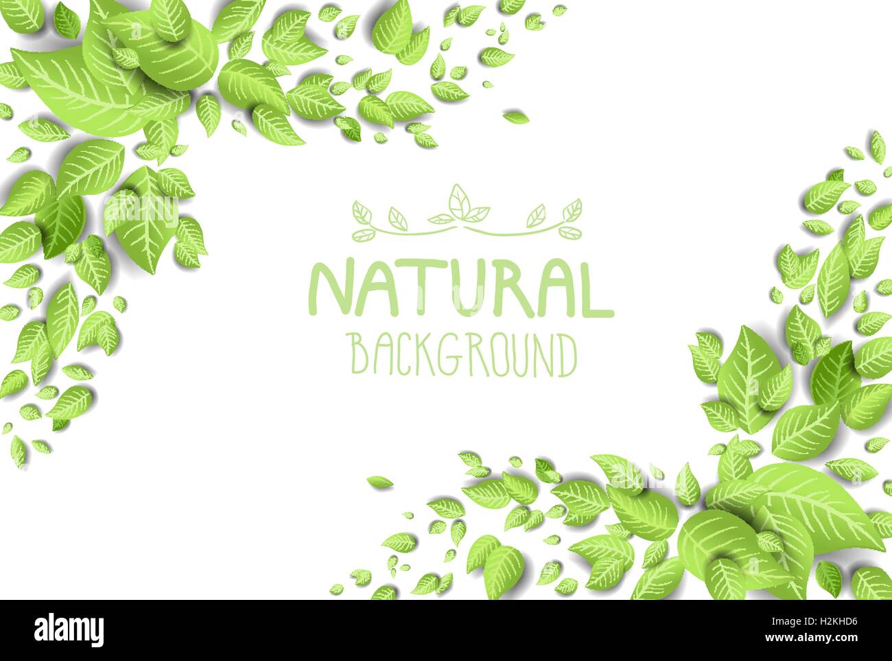 Backdrop with green leaves Stock Vector Image & Art - Alamy