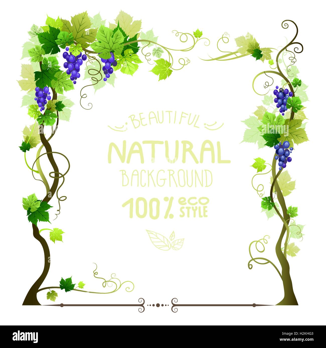 Old growth vine Cut Out Stock Images & Pictures - Alamy