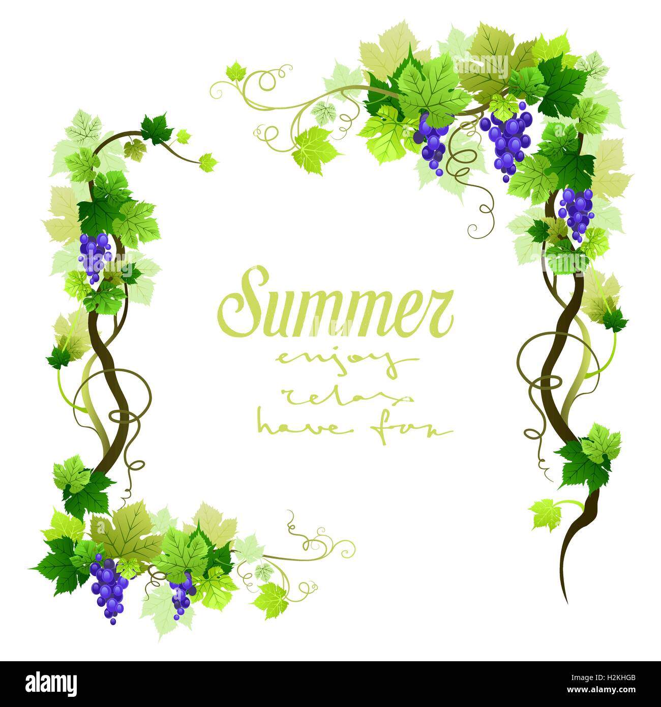 Old growth vine Stock Vector Images - Alamy