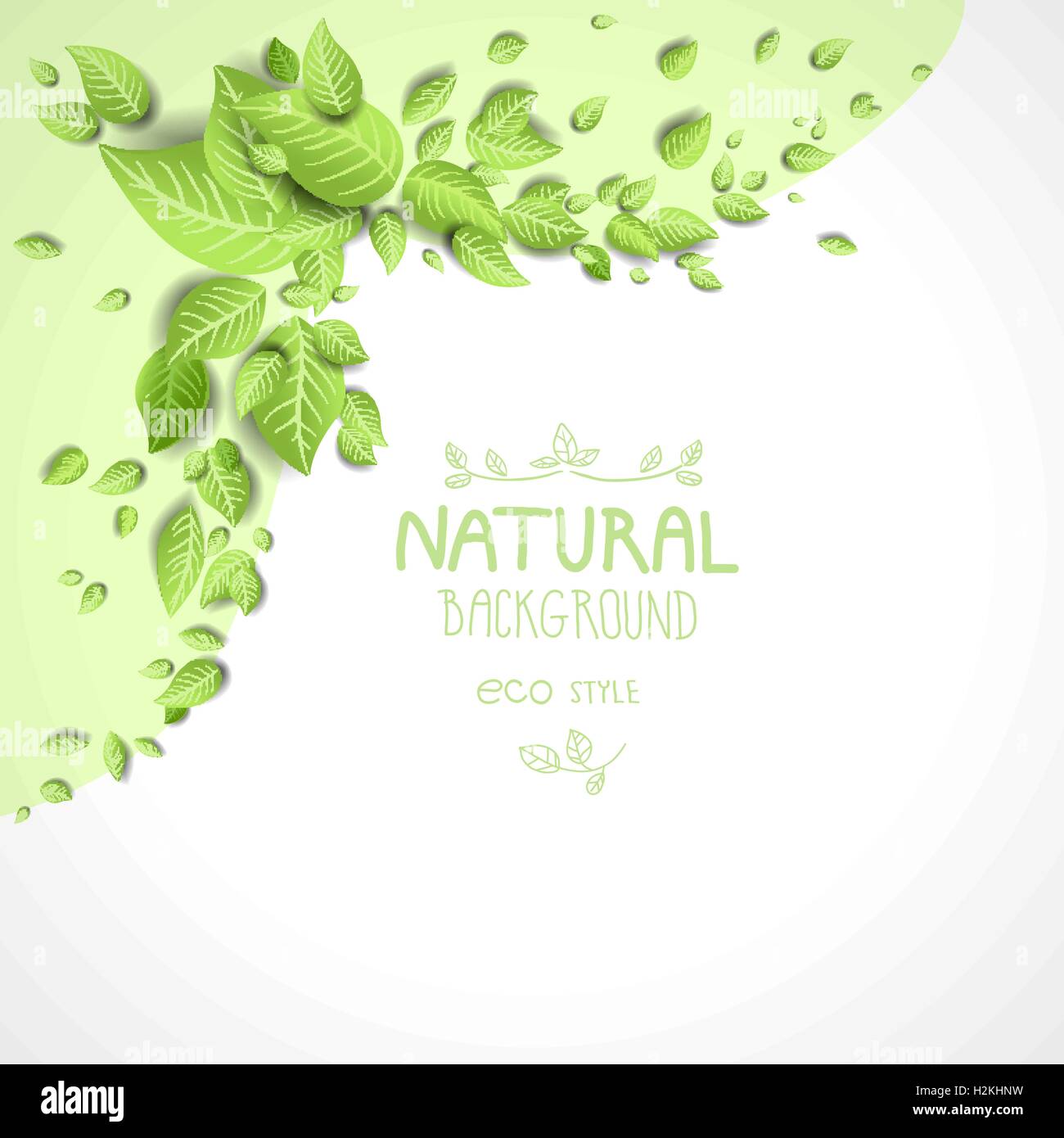 Eco frame with green leaves Stock Vector Image & Art - Alamy