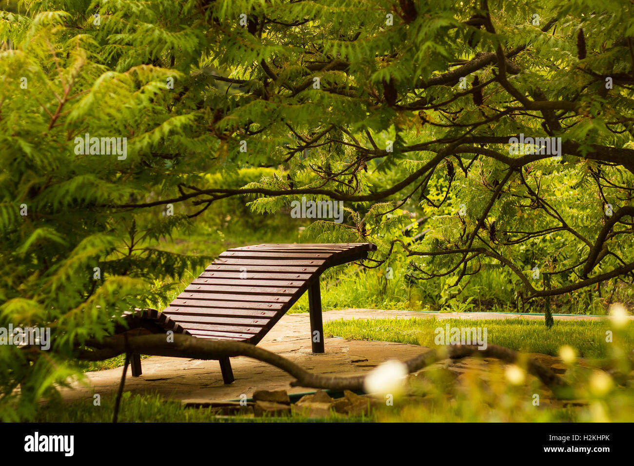 Wooden beach chair on terrace under tree Stock Photo - Alamy