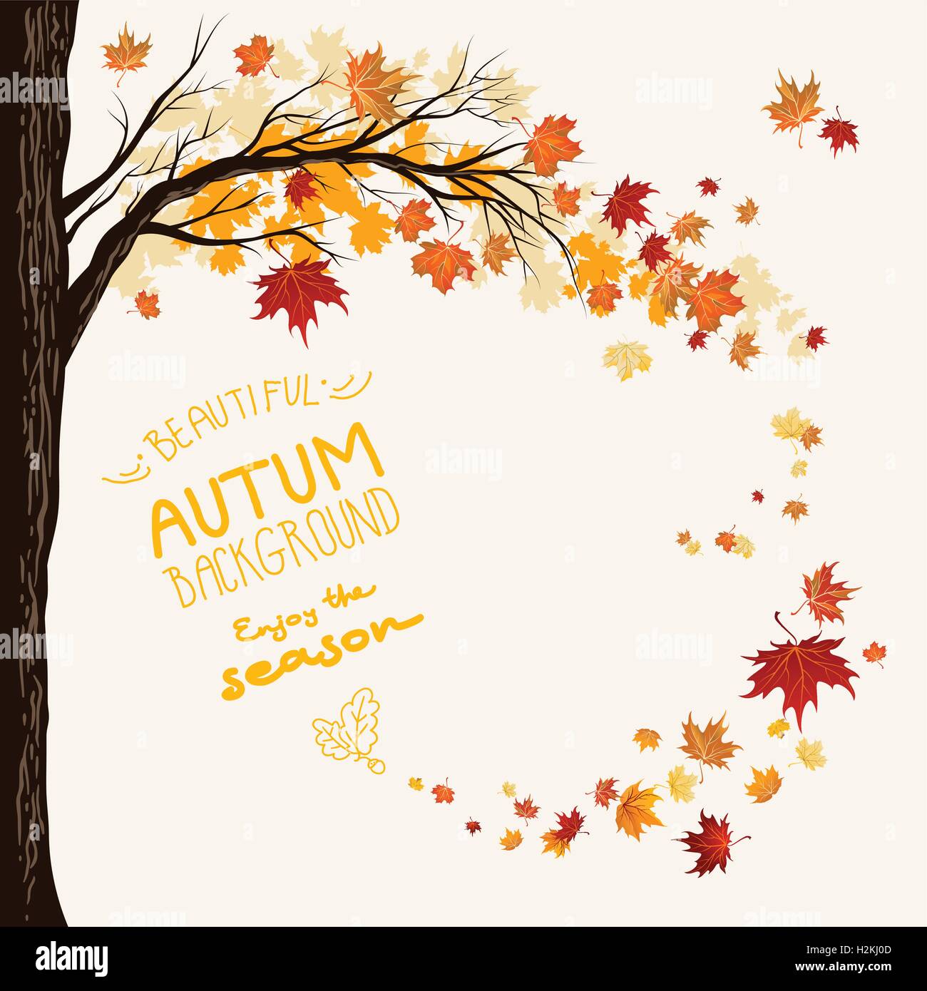 Red maple tree trunk not japanese Stock Vector Images - Alamy