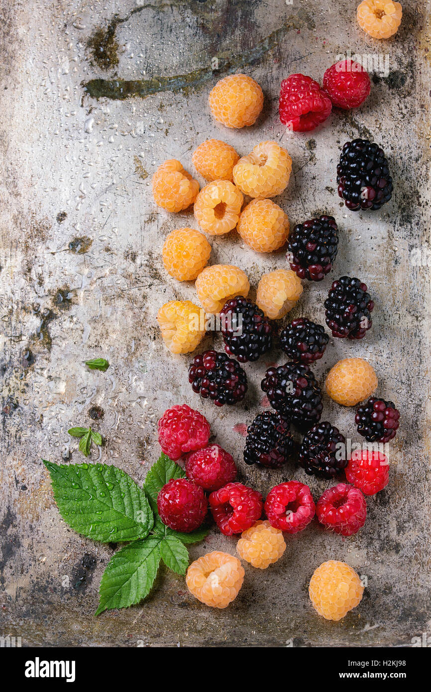 Heap of colorful yellow and red raspberries and black dewberry with ...