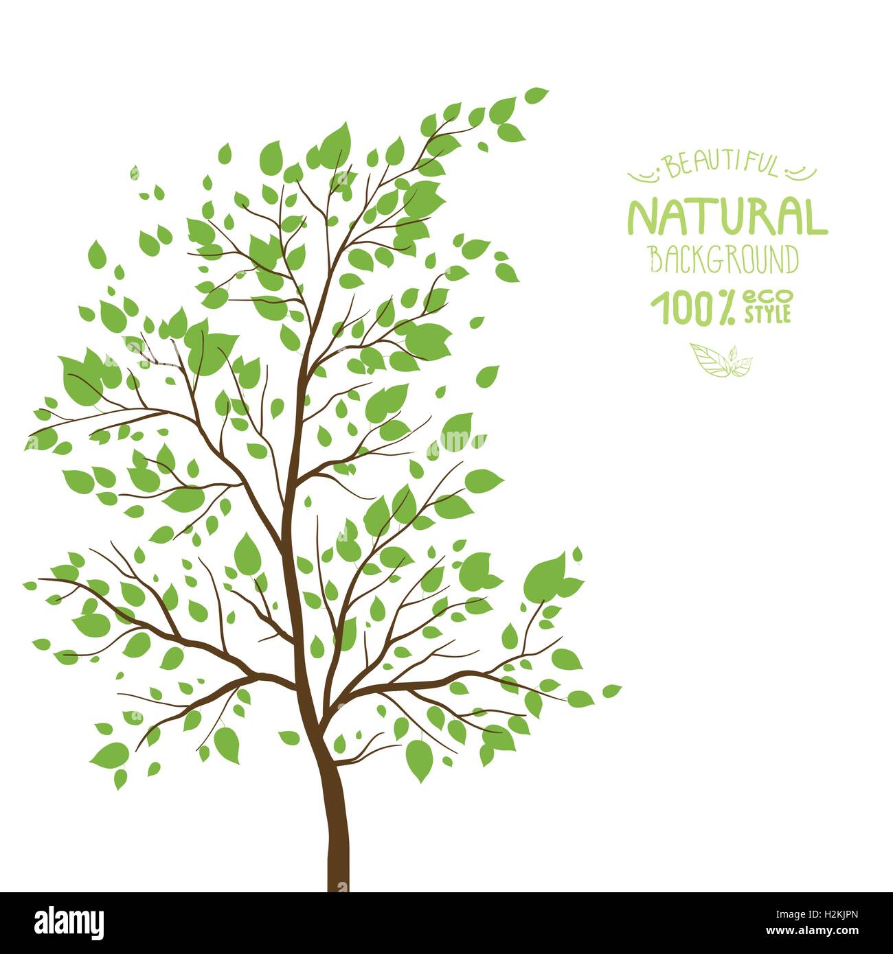 Beech tree background Stock Vector Images - Alamy
