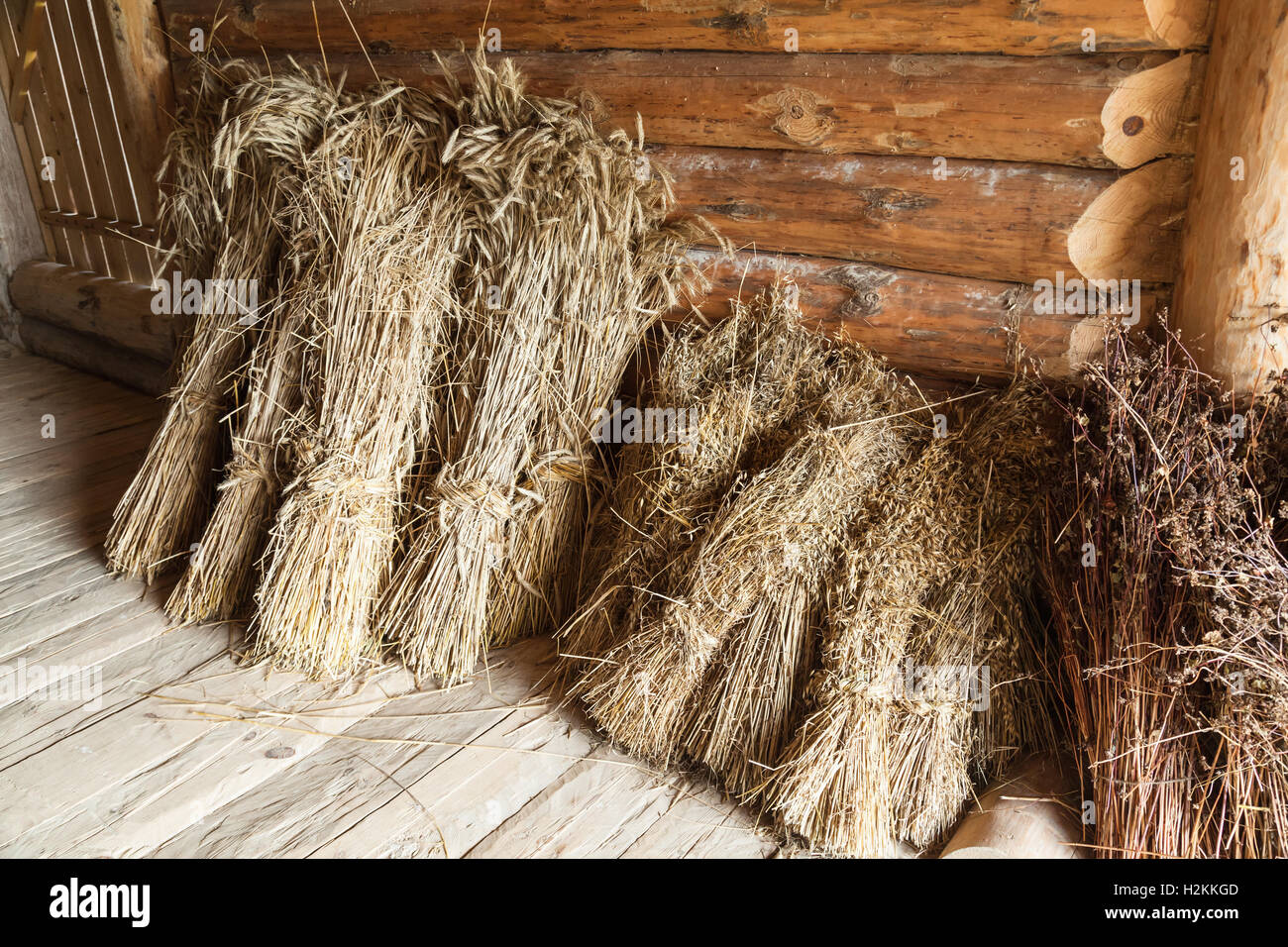 Hay sheaves in old wooden barn interior, rural Russian objects Stock ...