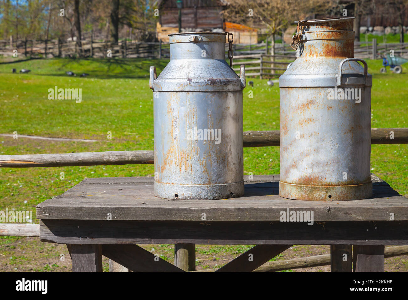 Two metal milk churns stand on wooden table Stock Photo - Alamy