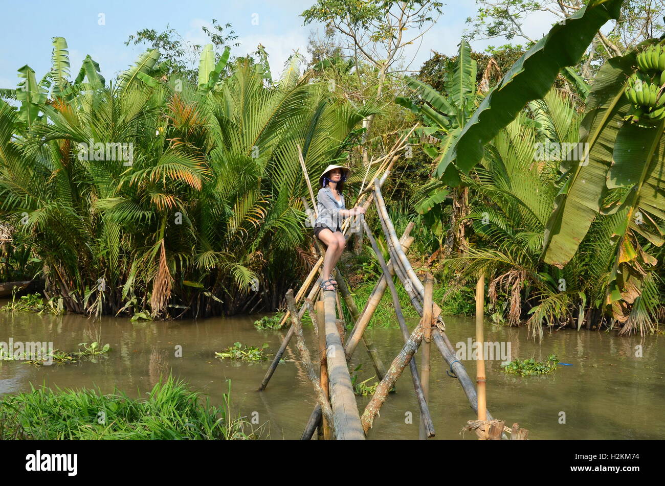 Monkey bridge hi-res stock photography and images - Alamy