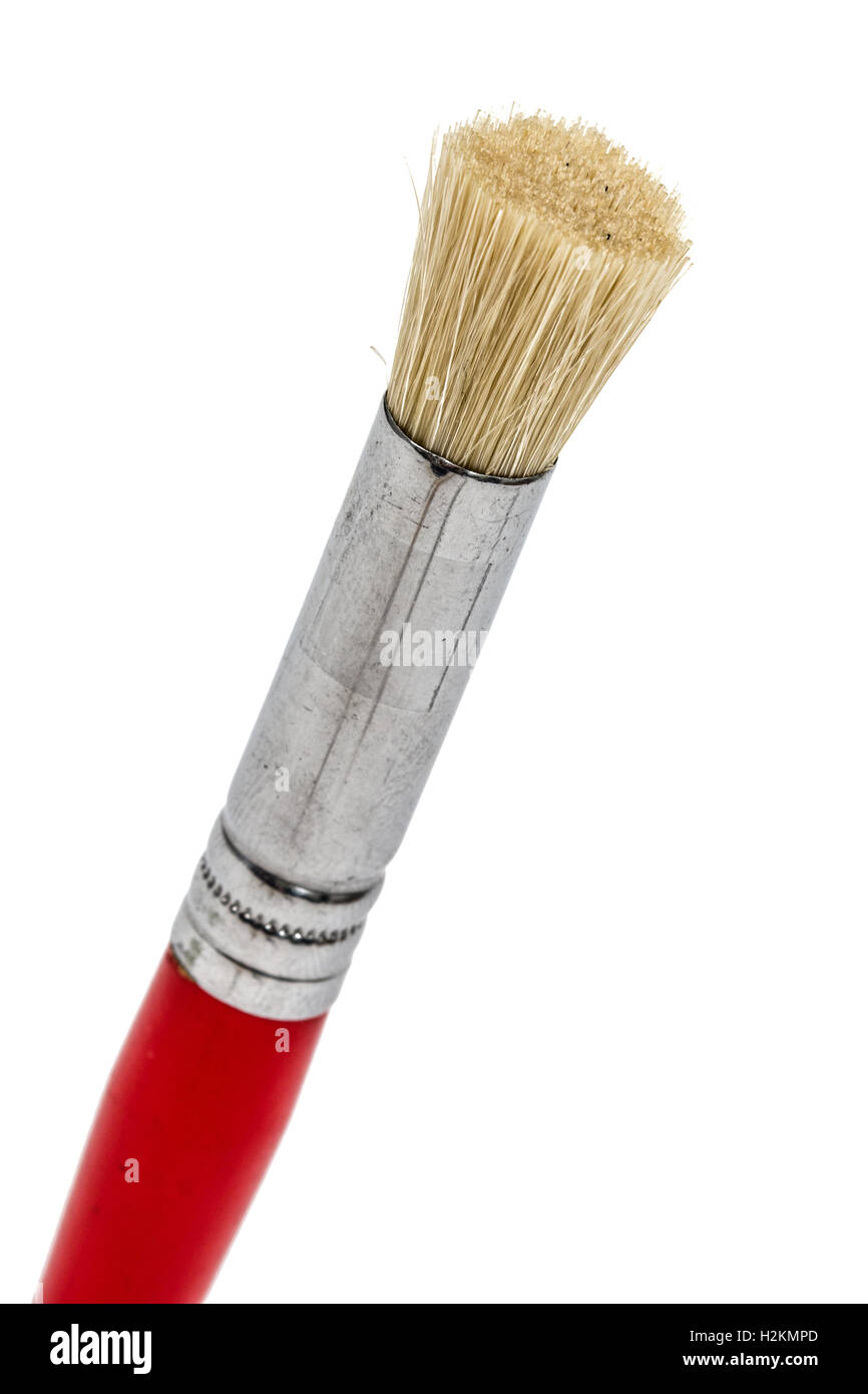 Paint brush close-up isolated on white background Stock Photo - Alamy