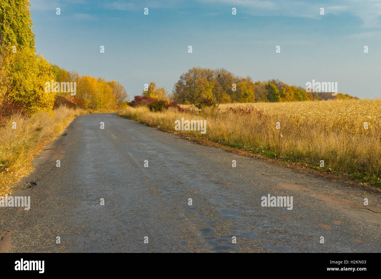 Empty rural road at fall season in Sumskaya oblast, Ukraine Stock Photo ...