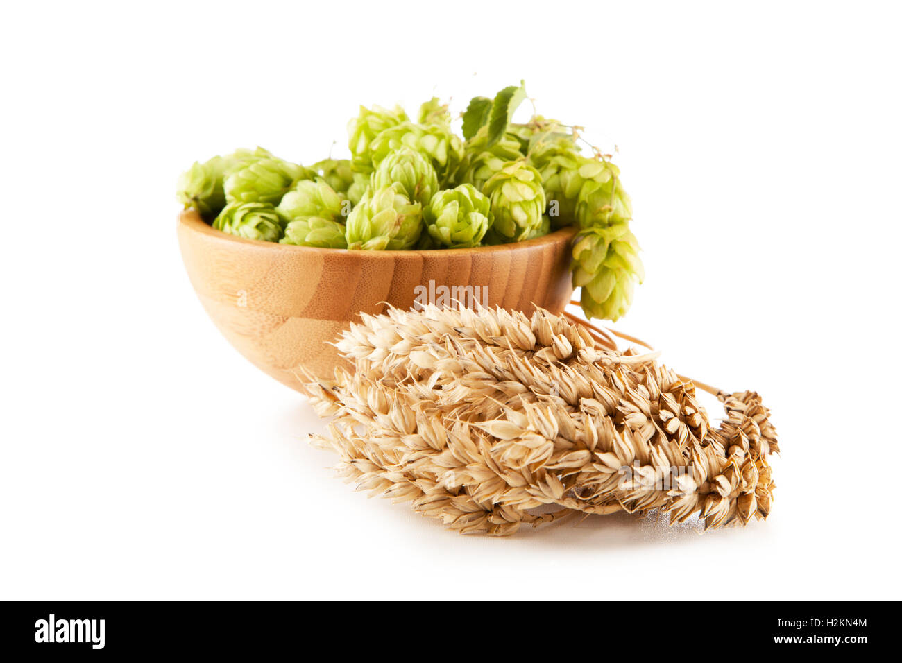 Hops hi-res stock photography and images - Alamy