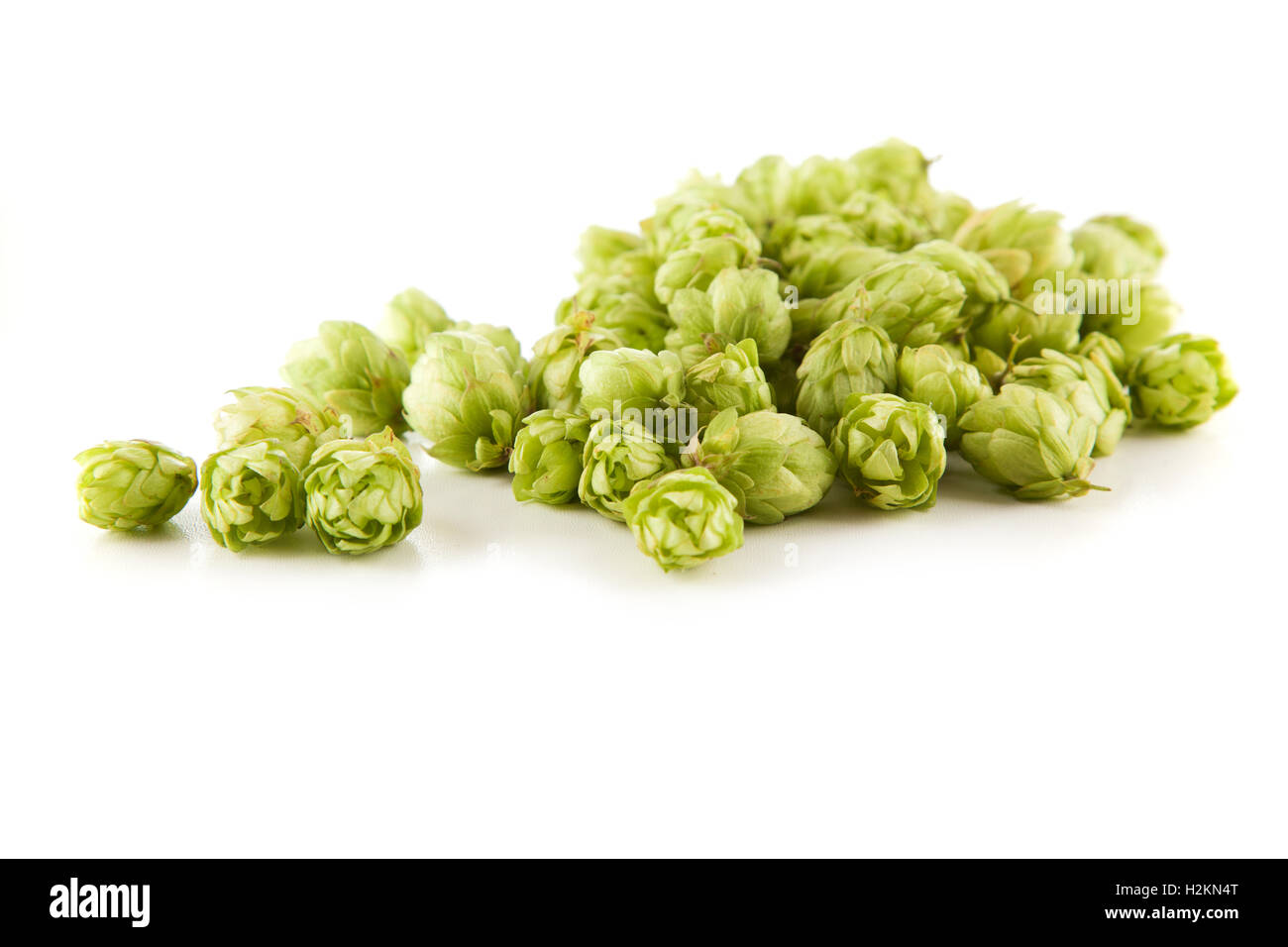 Still life beer hops hi-res stock photography and images - Alamy