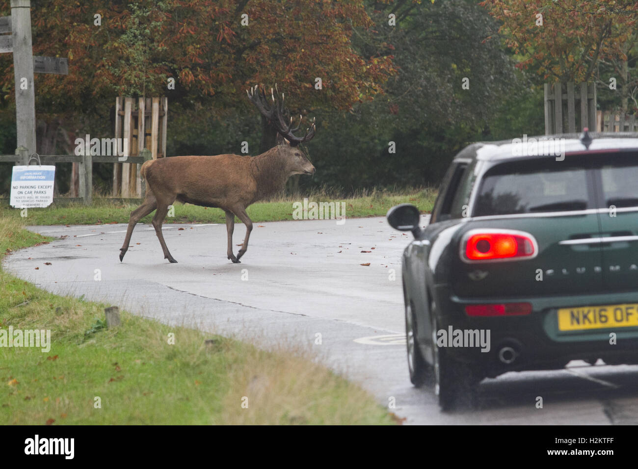 London UK. 29th September 2016. Autumn season is the time of the year ...