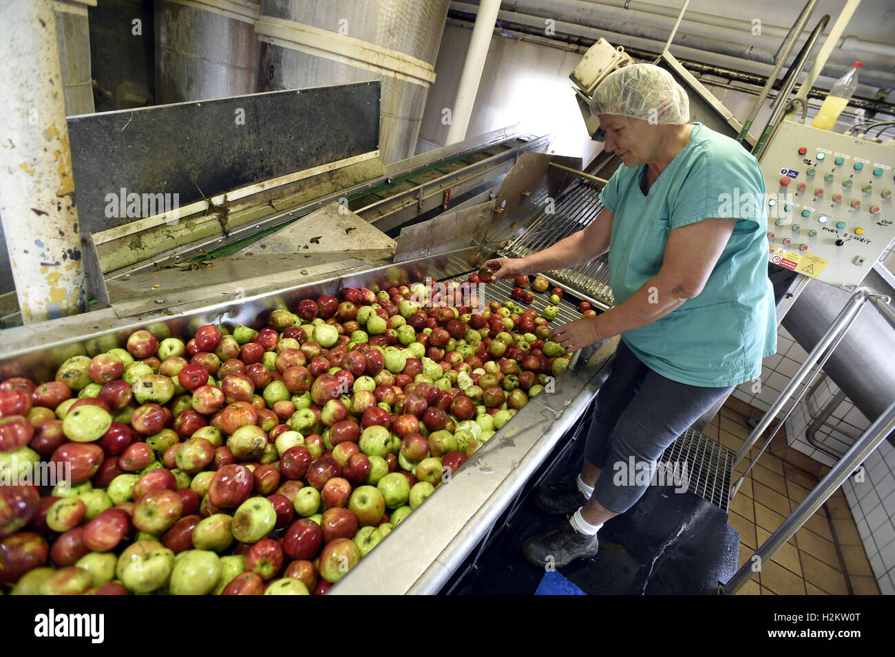 Nivnice, Czech Republic. 29th Sep, 2016. Linea Nivnice, a company ...