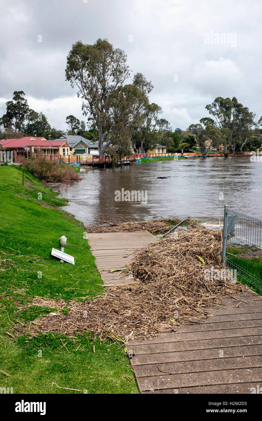 Old Noarlunga, South Australia. 30th September, 2016. The flood swollen ...
