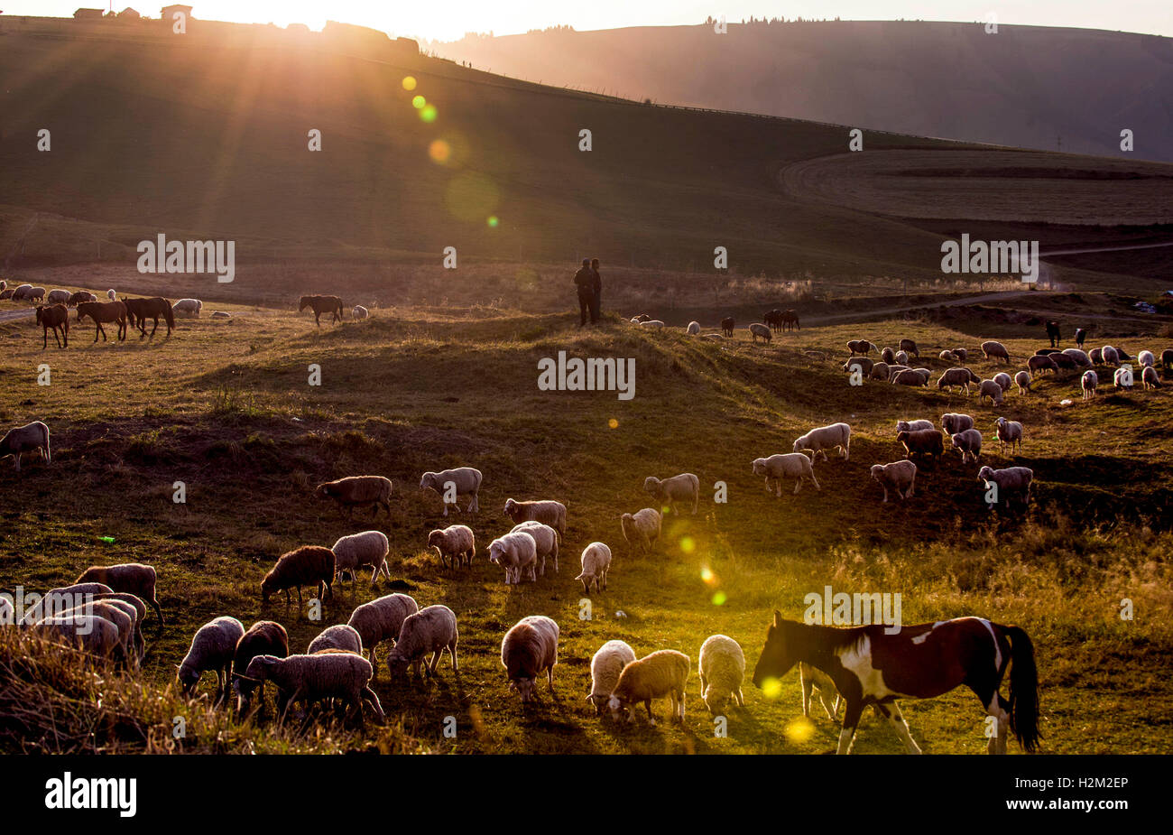 Urumqi, China's Xinjiang Uygur Autonomous Region. 29th Sep, 2016 ...