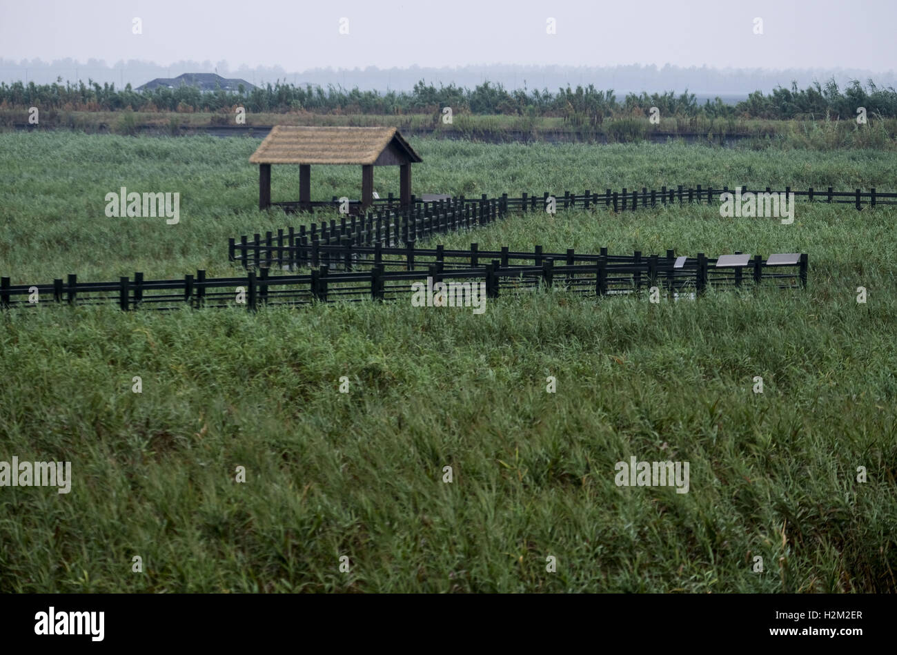 Chongming High Resolution Stock Photography and Images - Alamy