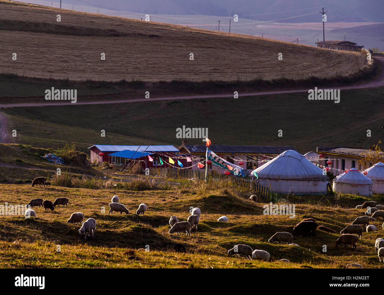 Urumqi chinas xinjiang uygur autonomous hi-res stock photography and ...