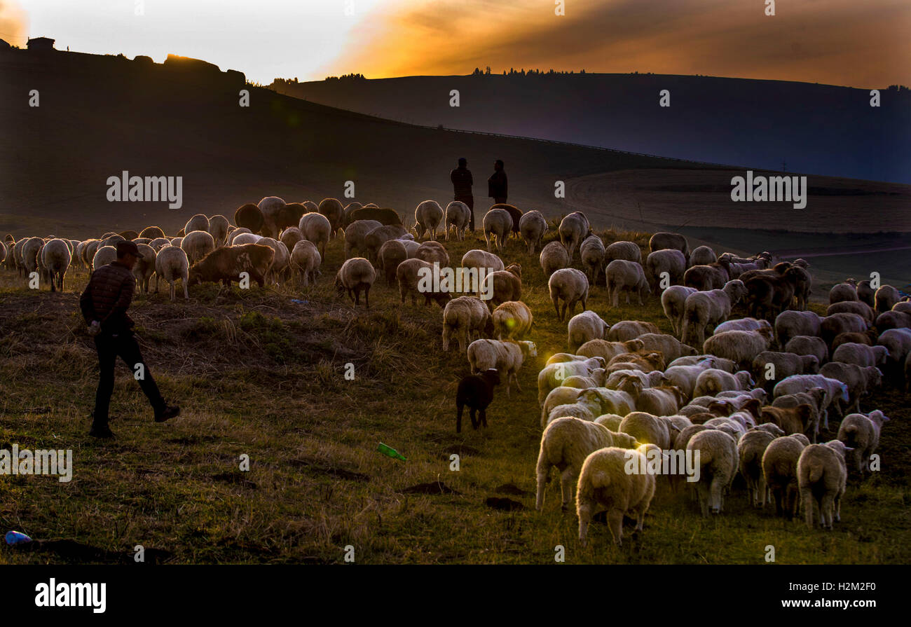 Urumqi, China's Xinjiang Uygur Autonomous Region. 29th Sep, 2016 ...