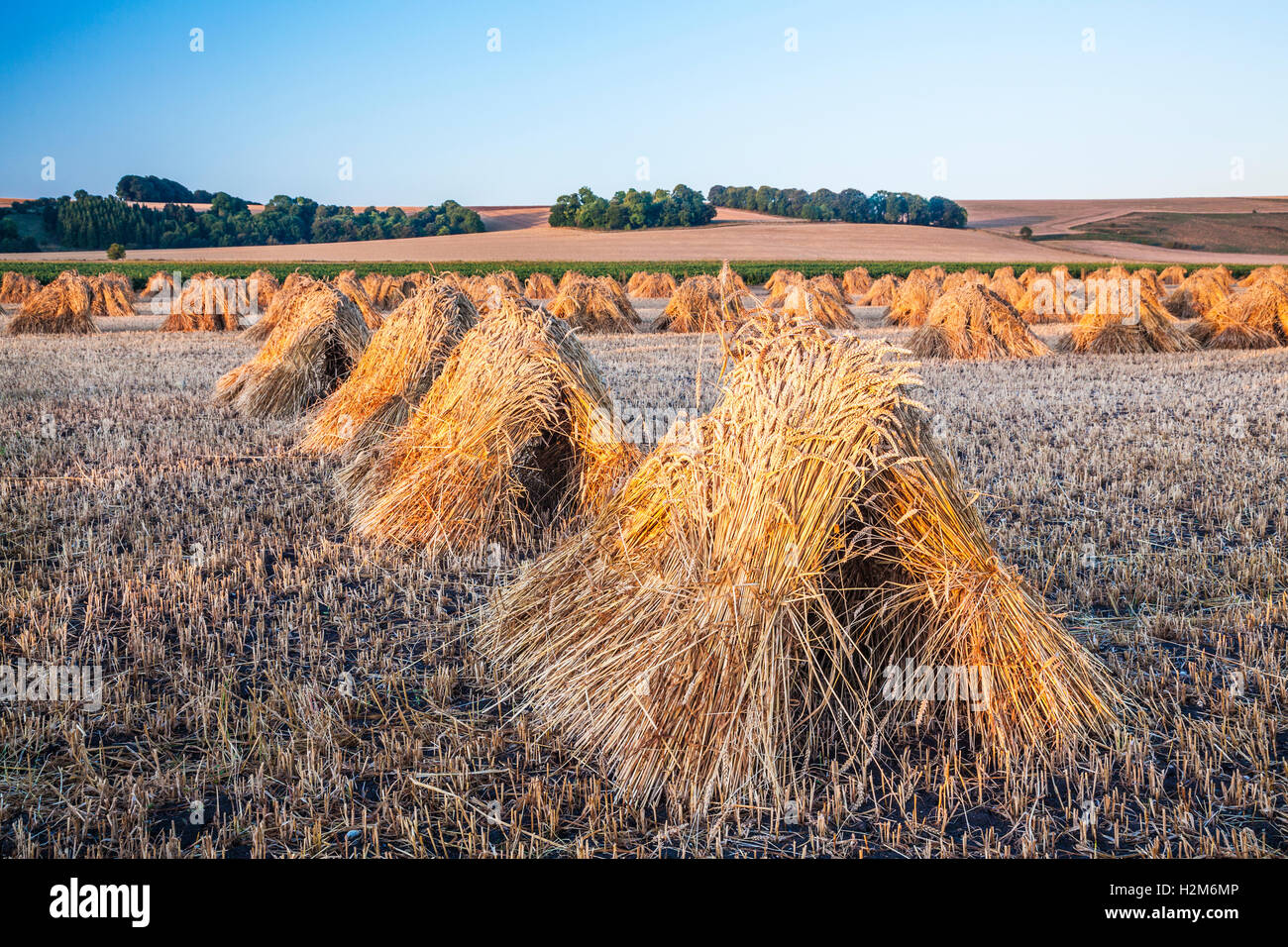Traditional grain farm hi-res stock photography and images - Alamy