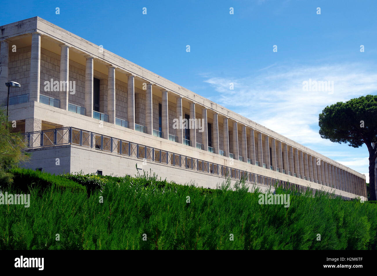 One wing hi-res stock photography and images - Alamy