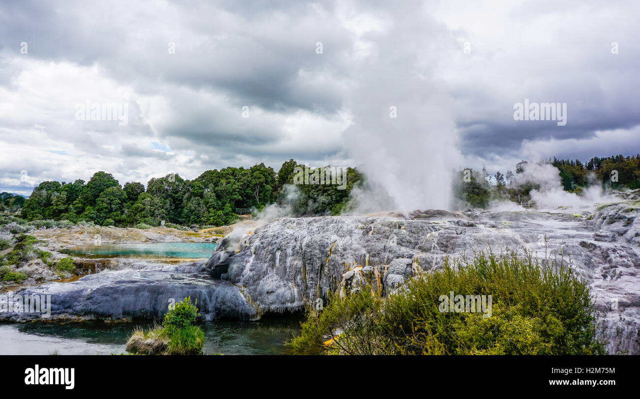 Natural geyser erupting and shooting steam with very high temperature ...
