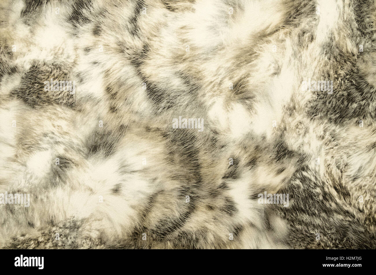 animal print Background Texture Stock Photo - Alamy