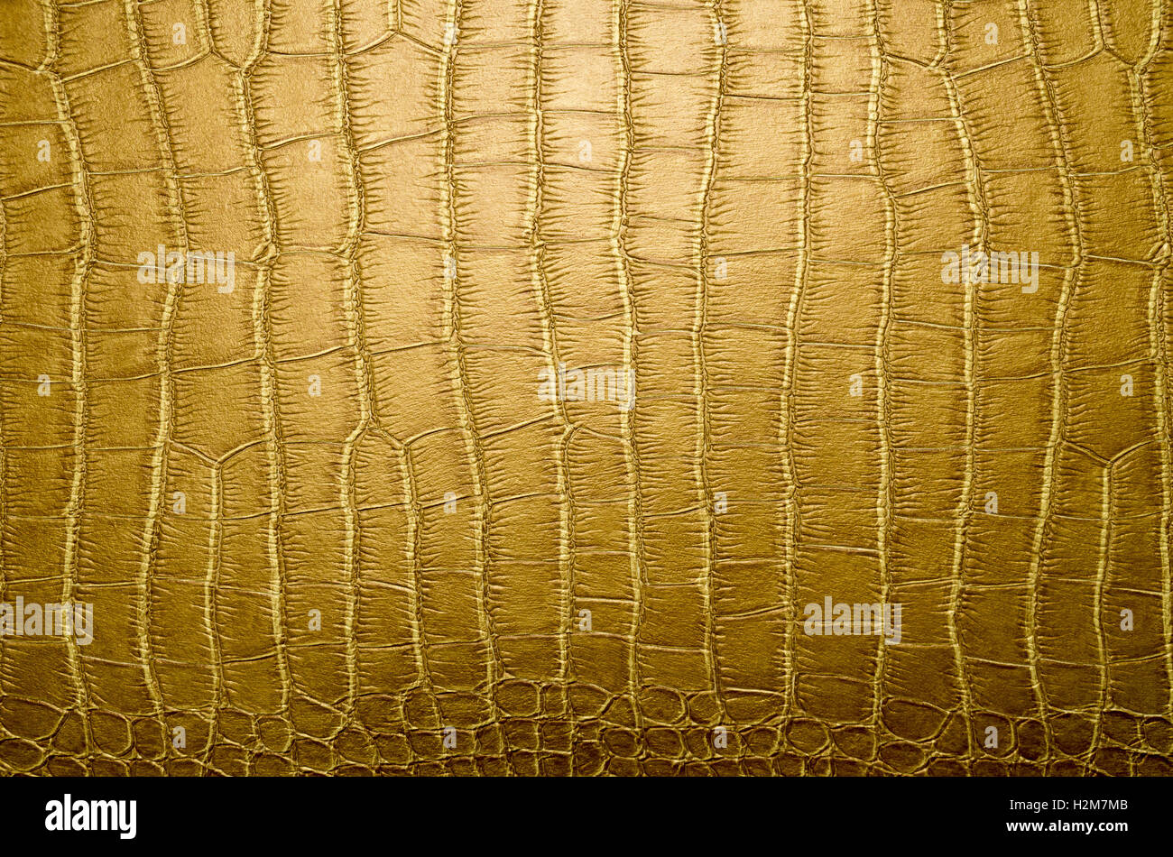 animal print Background Texture Stock Photo - Alamy