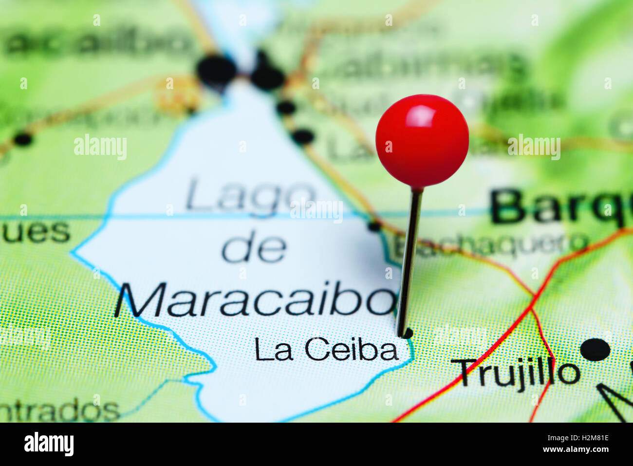 La ceiba hi-res stock photography and images - Alamy