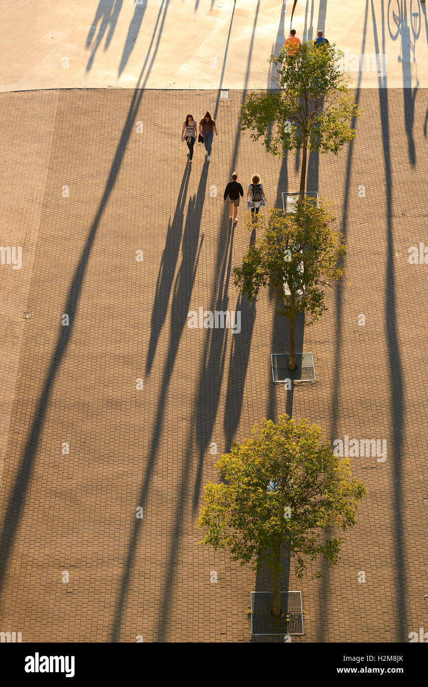 Long shadows trees hi-res stock photography and images - Alamy