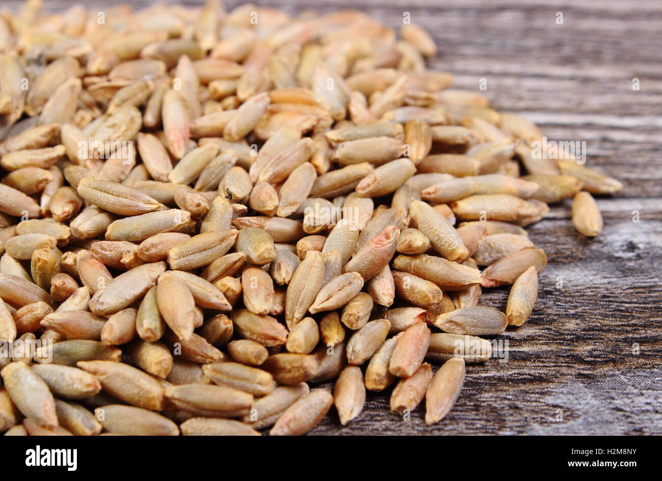 Heap of organic whole rye grain lying on wooden background Stock Photo ...