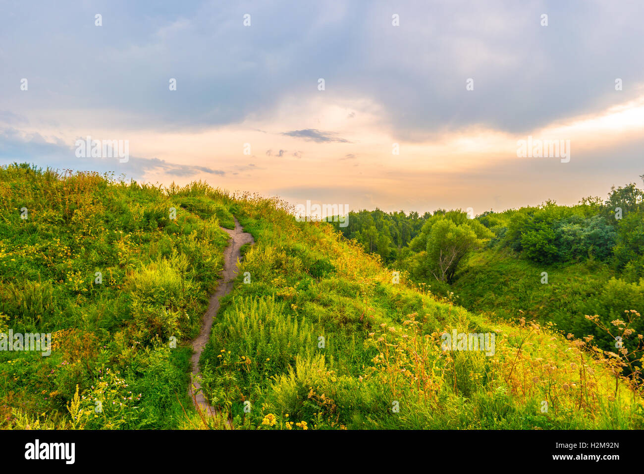 Pathway on a hill with wildflowers Stock Photo - Alamy