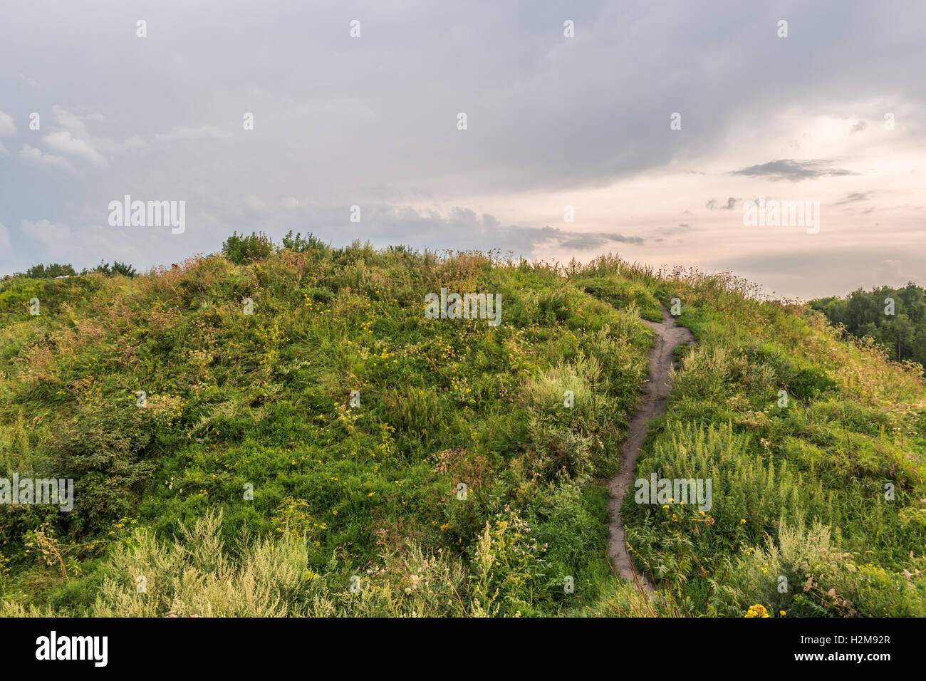 Pathway on a hill with wildflowers Stock Photo - Alamy