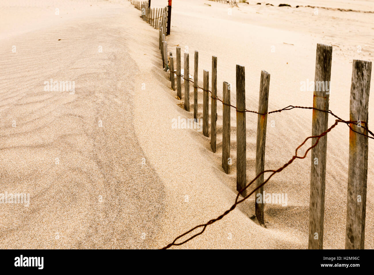 Wooden fence, grass and white sand dunes on the beach Stock Photo - Alamy