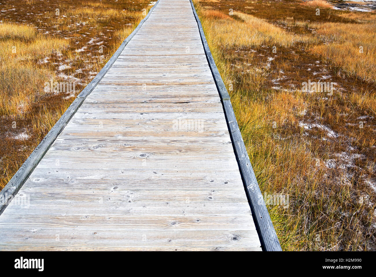 Boardwalk in the Upper Geyser Basin in Yellowstone National Park Stock ...