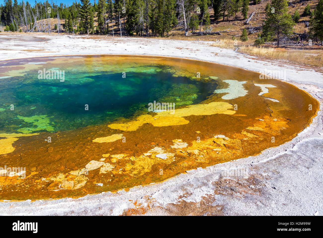 Beauty of yellowstone hi-res stock photography and images - Alamy