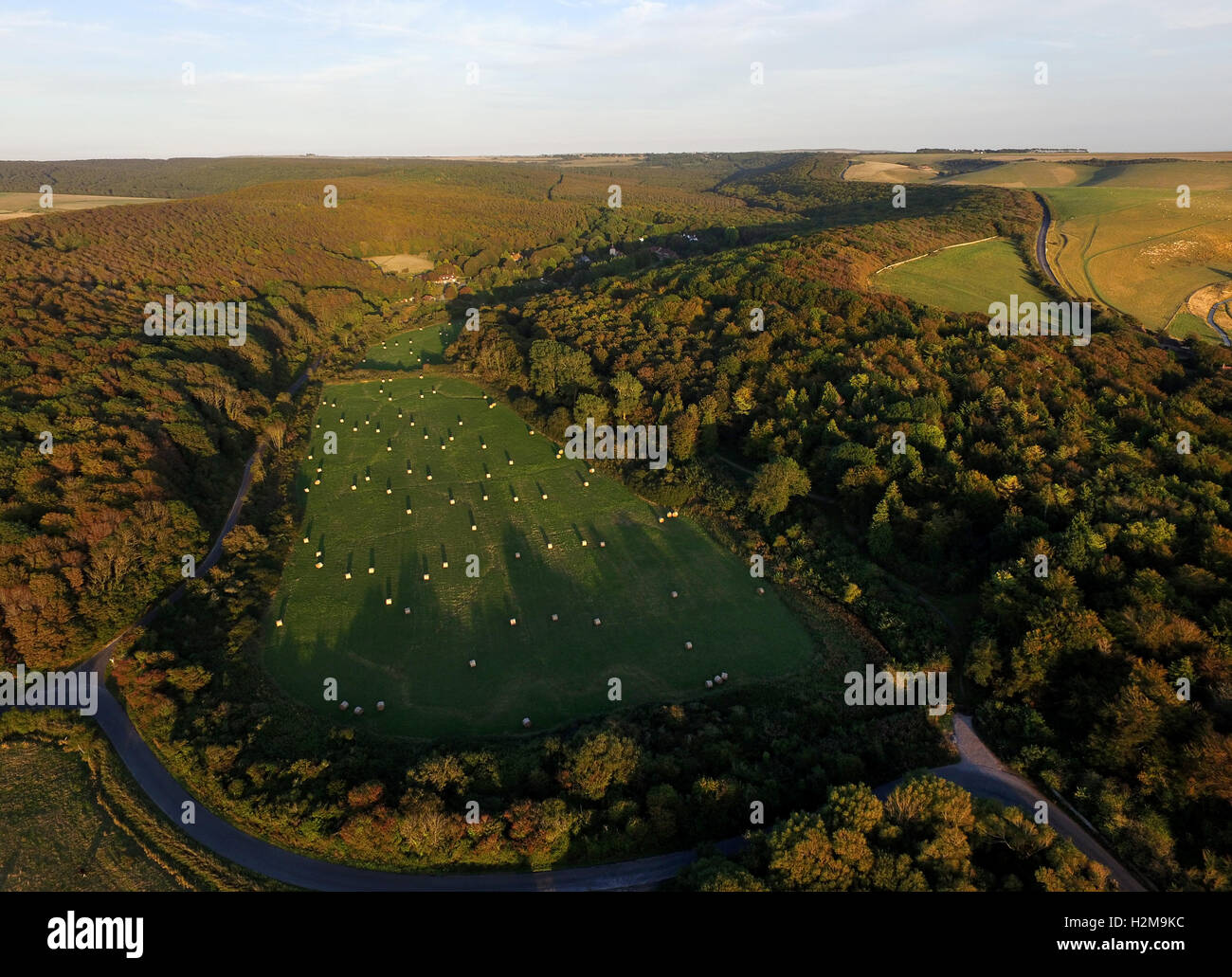 Aerial view of West Dean hidden in Friston Forest, East Sussex Stock ...