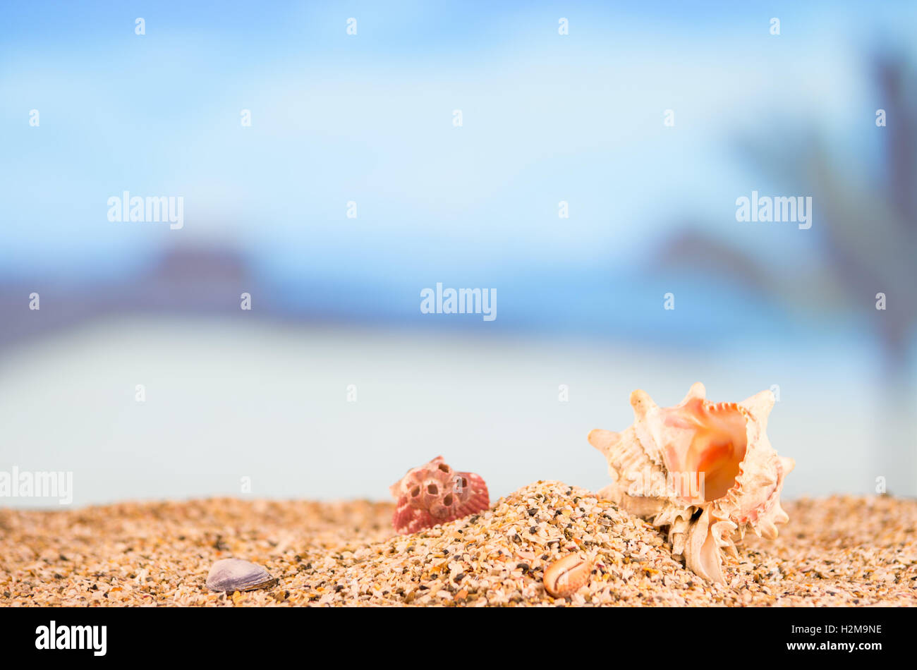 sandy beach in summer concept Stock Photo - Alamy