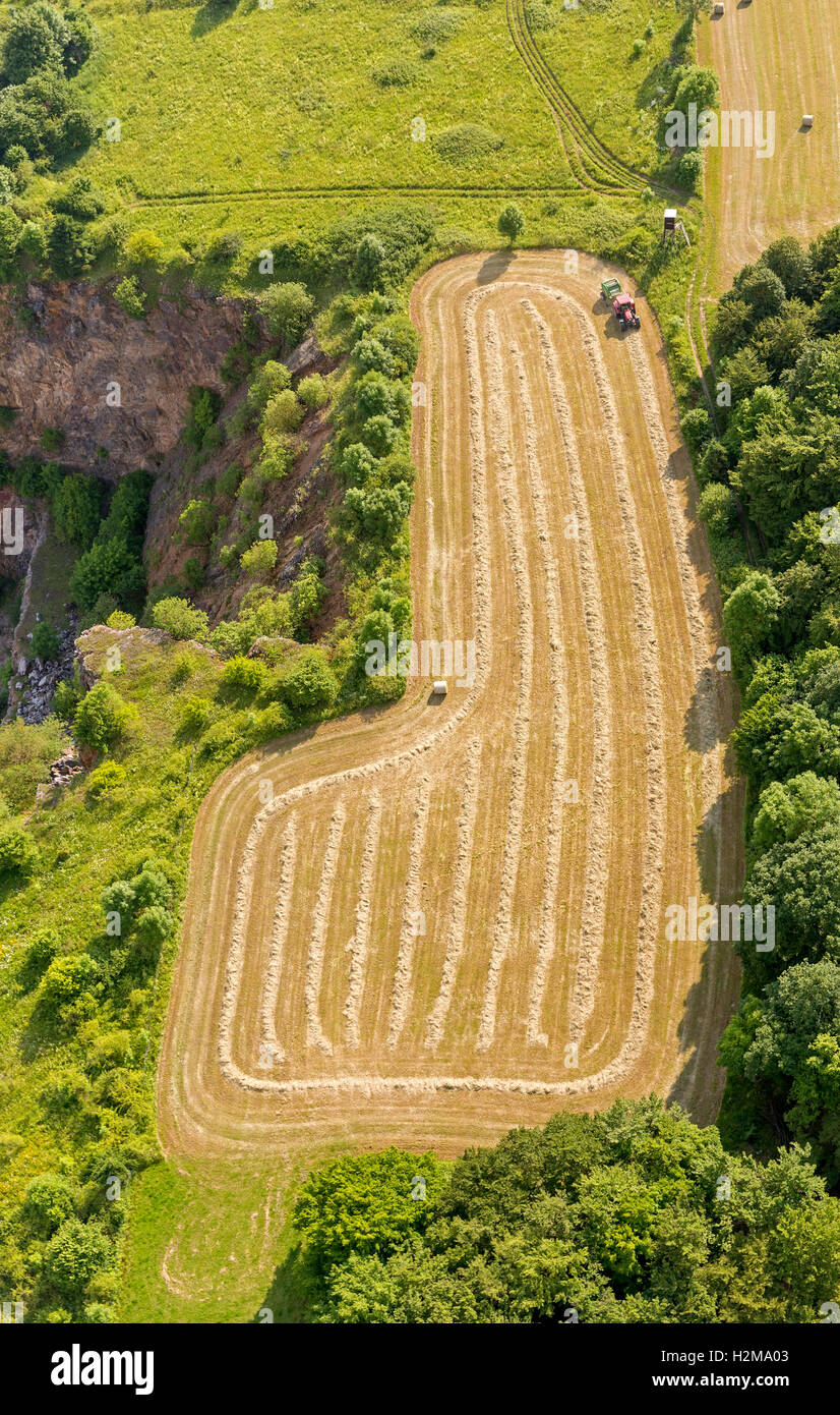 Hoppecketal hi-res stock photography and images - Alamy