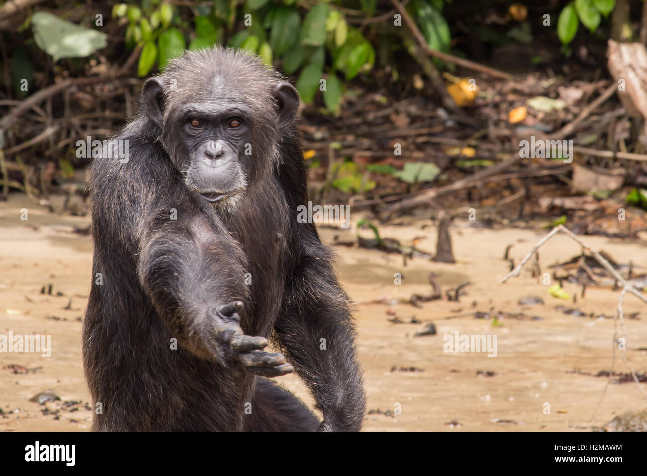 Liberia africa river hi-res stock photography and images - Alamy