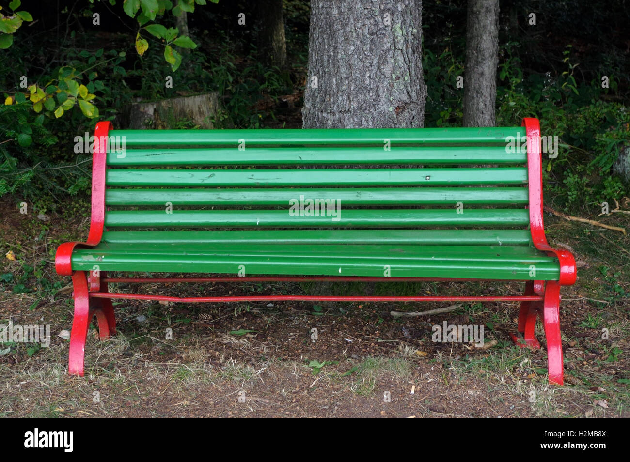 a wooden green park bench under trees in the forest Stock Photo - Alamy
