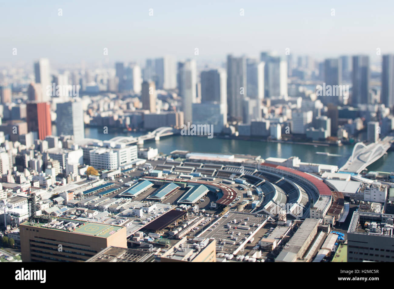 Tilt-shift bird's eye view of Tokyo cityscape, Tokyo, Japan Stock Photo ...