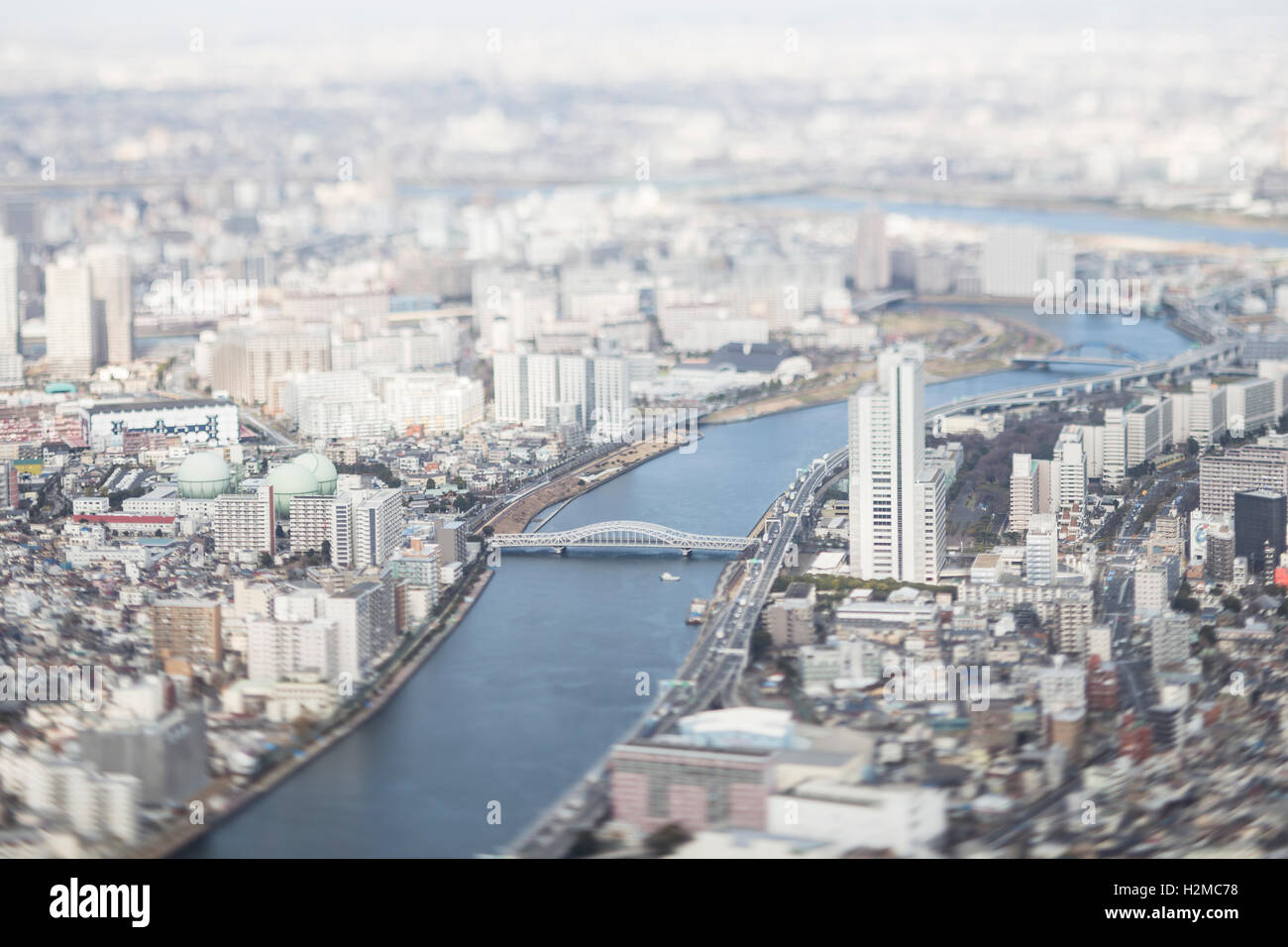 Tilt-shift bird's eye view of Tokyo cityscape, Tokyo, Japan Stock Photo ...