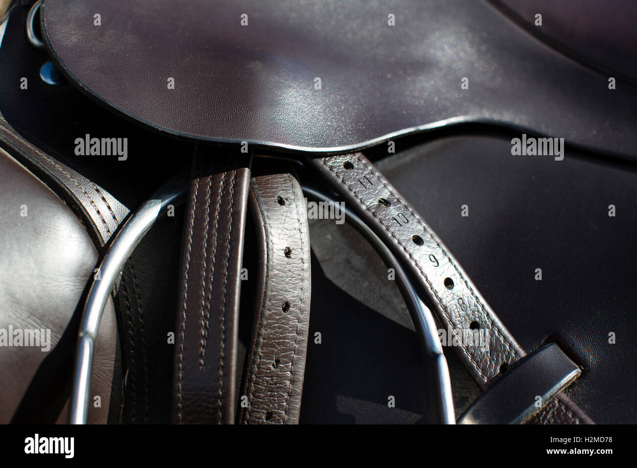 Close up of a deeply coloured leather horse saddle Stock Photo - Alamy