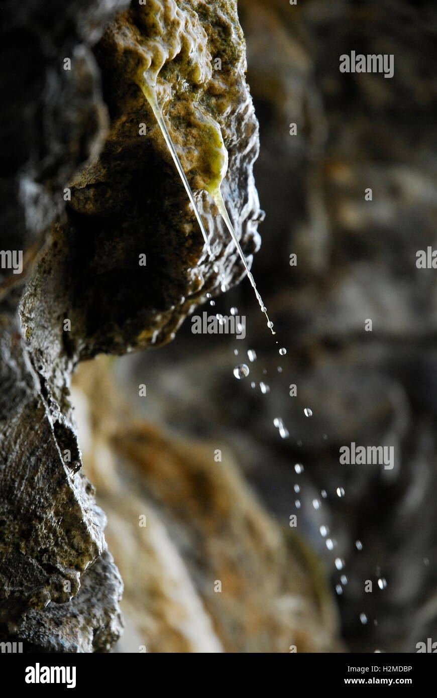 Water drips from the ceiling of a cave in the Kenfig National Nature ...