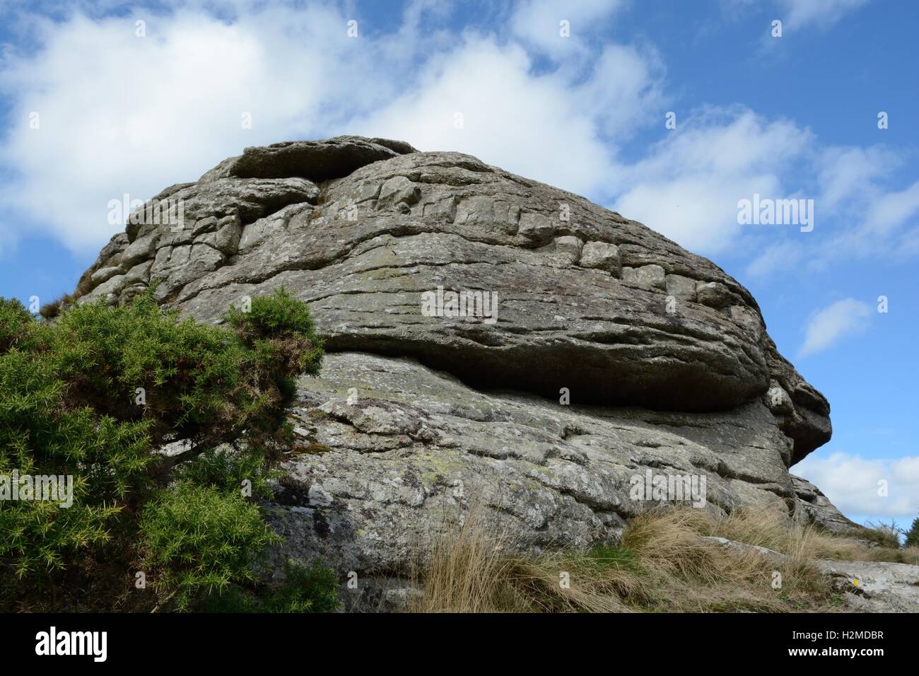 Hel Tor Heltor Dartmore National Park Exeter Devon England Stock Photo ...