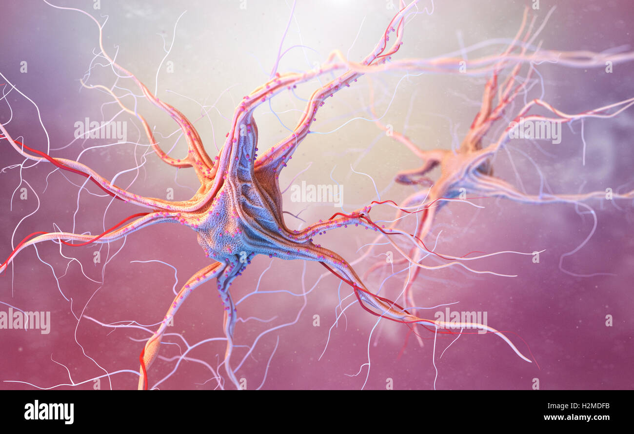 Nervous system hi-res stock photography and images - Alamy