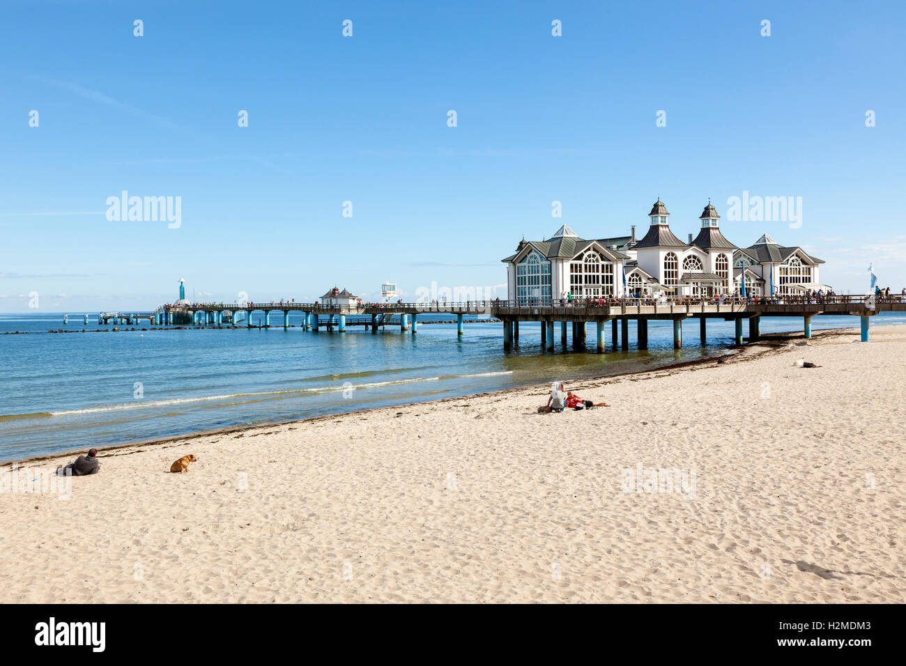 Sea rugia hi-res stock photography and images - Alamy
