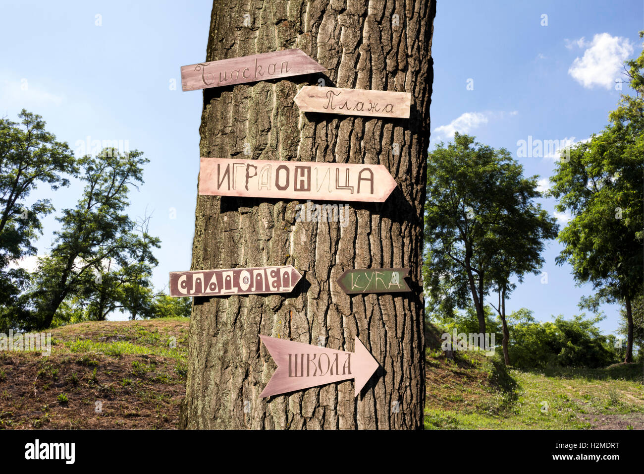 Tree in the woods with signs in Serbian language on it Stock Photo - Alamy
